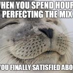 Satisfied Seal Meme | WHEN YOU SPEND HOURS PERFECTING THE MIX AND YOU FINALLY SATISFIED ABOUT IT ...