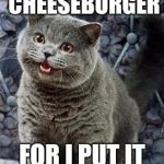 I can has cheezburger cat Meme Generator - Imgflip
