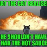 cat explosion Meme Generator - Imgflip