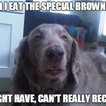 High Dog Meme Generator - Imgflip
