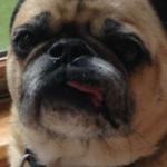 sew Meme Generator - Imgflip