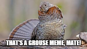 We Don't Sing Like Canaries! - Imgflip