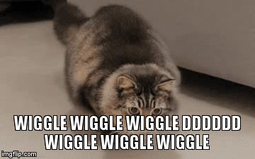 wiggle - Imgflip
