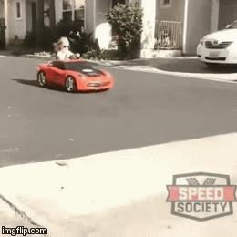 Like a boss - Imgflip