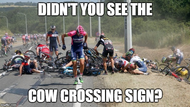 Image tagged in smug retired mamil - Imgflip