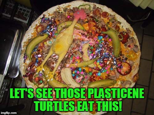 Turtle Food Memes