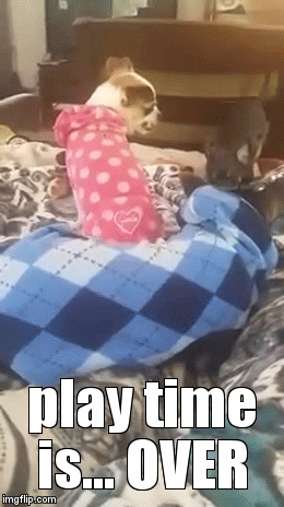 Play Time is... OVER - Imgflip
