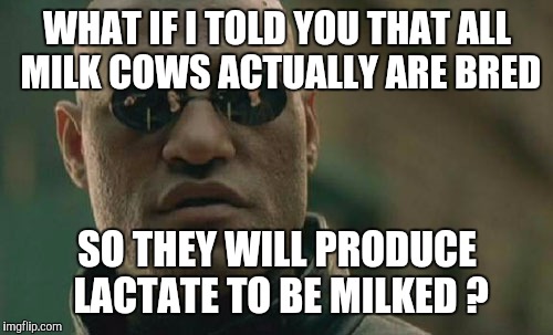 Image tagged in the evil dairy industry - Imgflip