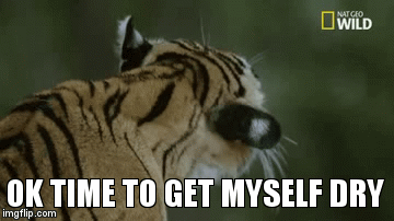 finished shower - Imgflip