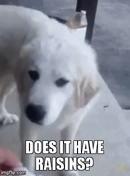 Raisins? - Imgflip