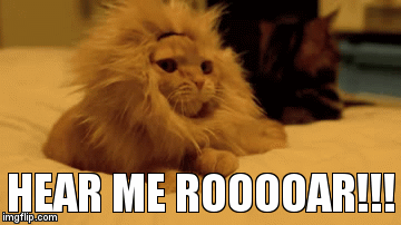 roar - Imgflip