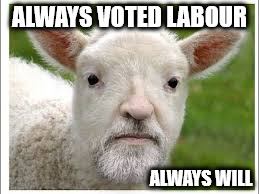 Corbyn sheep - always voted labour, always will - Imgflip
