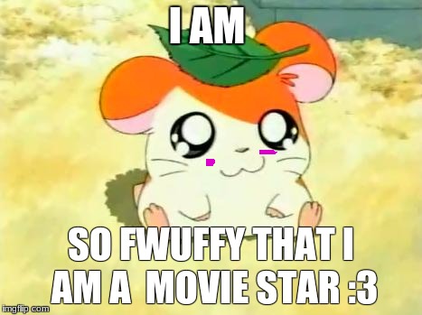 Hamtaro Meme - Imgflip