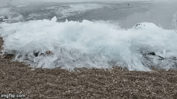 Animated GIF - Imgflip