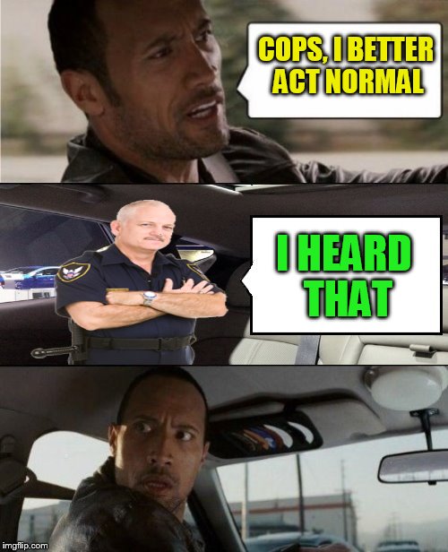 Confession Bear Meme - Imgflip