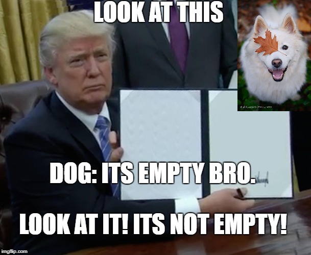 Image tagged in trump lol truop _ - Imgflip