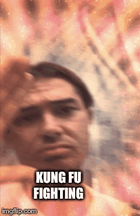 Kung fu fighting - Imgflip