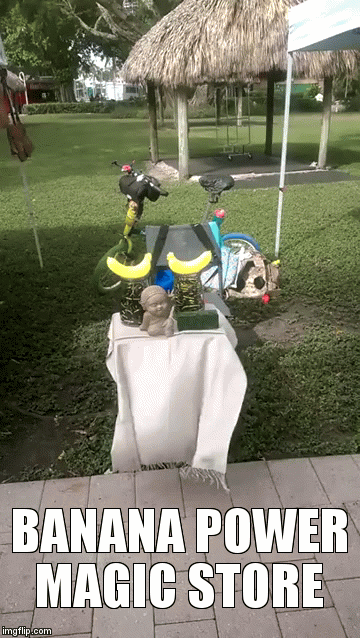 A great little magic store - Imgflip