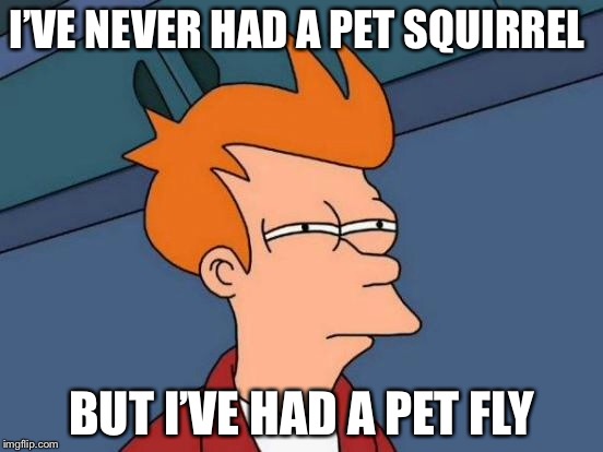 Am I The Only One Around Here Meme - Imgflip