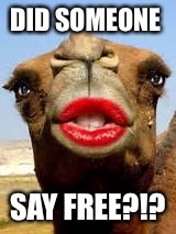 Image tagged in camel lipstick - Imgflip