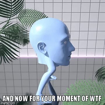 WTF moment - Imgflip