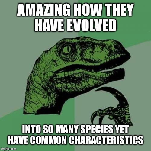 Philosoraptor Meme - Imgflip