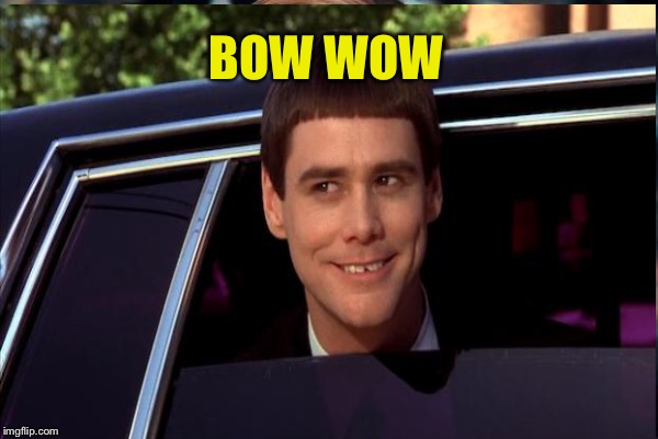 College liberal - Imgflip