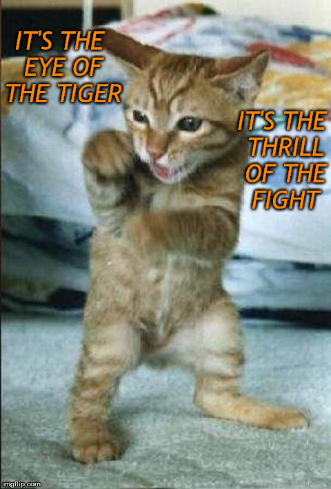 Dec.31 to Feb.1 - 2017 Memes in Review. My favorite memes in 2017 from ...