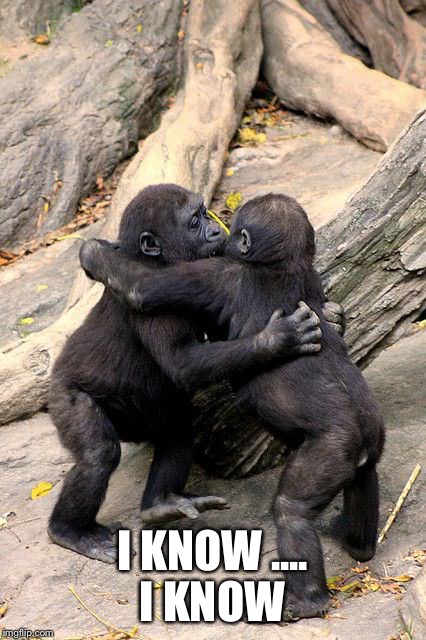 Trust me. I know what I'm saying. - Imgflip