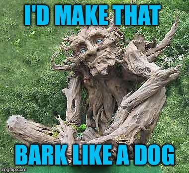 square root of a tree - Imgflip