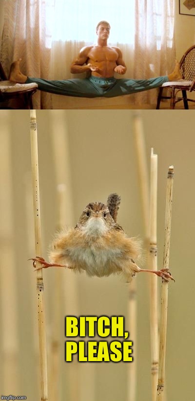 Do you even fly, bro? - Imgflip