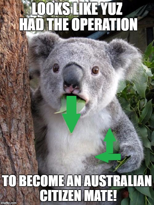 Top of the pecking order - Imgflip