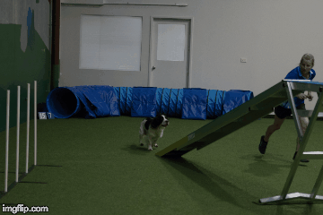Animated GIF - Imgflip