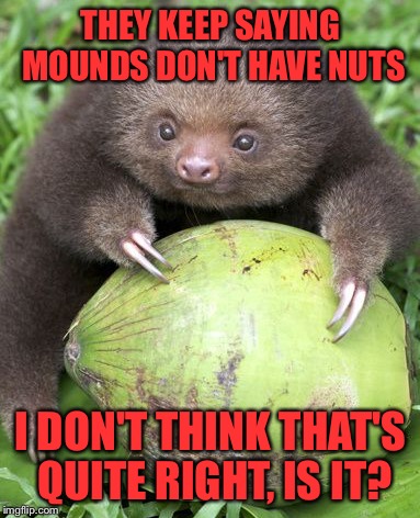 Sweet paradox. - Imgflip