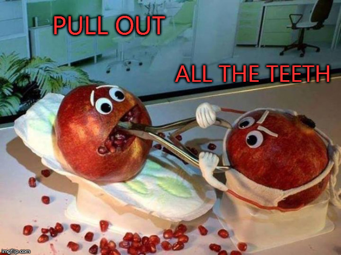 A meme with bite :) - Imgflip