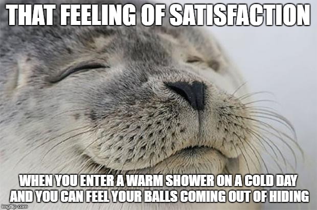 Satisfied Seal Meme Imgflip satisfied-seal-meme-imgflip