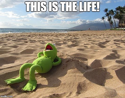 kermit on beach - Imgflip