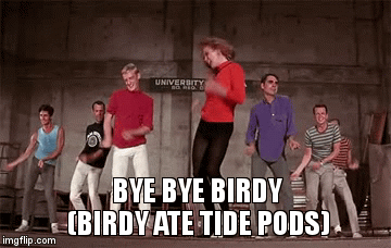 Bye bye birdy! R.I.P. - Imgflip