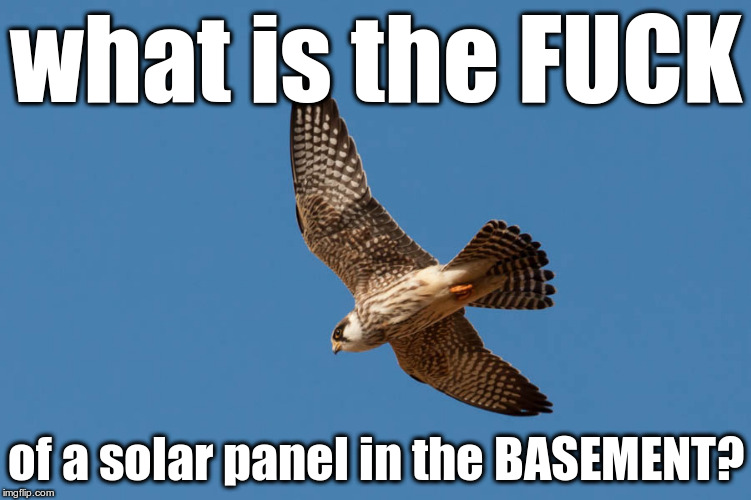 What is the Fuck Falcon - Imgflip