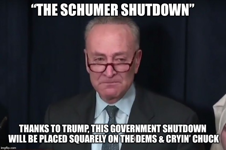 Schumer’s shutdown - Imgflip