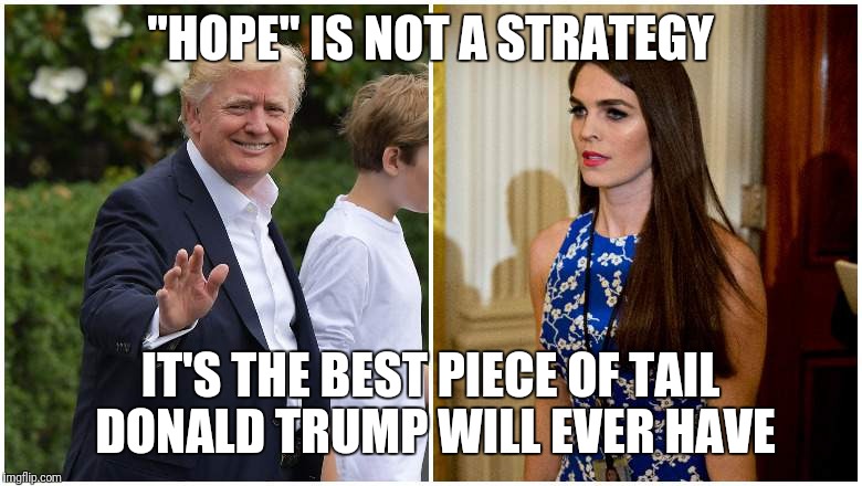 Image tagged in trump hicks - Imgflip