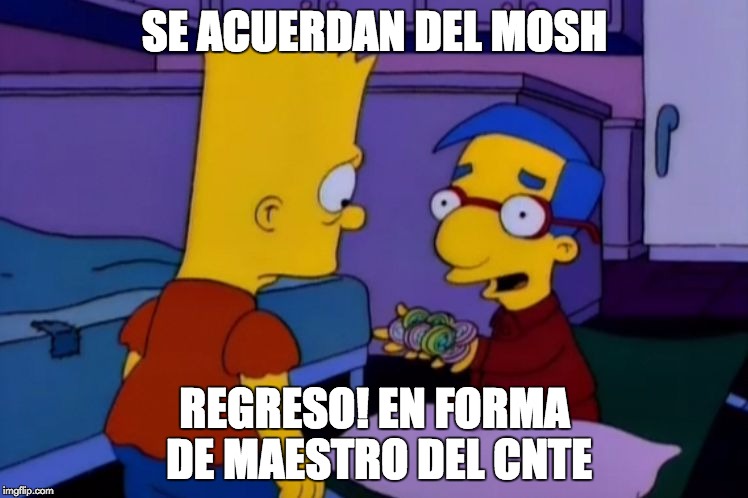 Memes Del Mosh He Rly Did It #wizards #moshpit #dance #holdin | TikTok