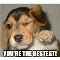 The Cat Couldn't Stop Laughing - Imgflip