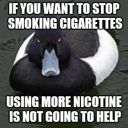 Angry Advice Mallard - Imgflip