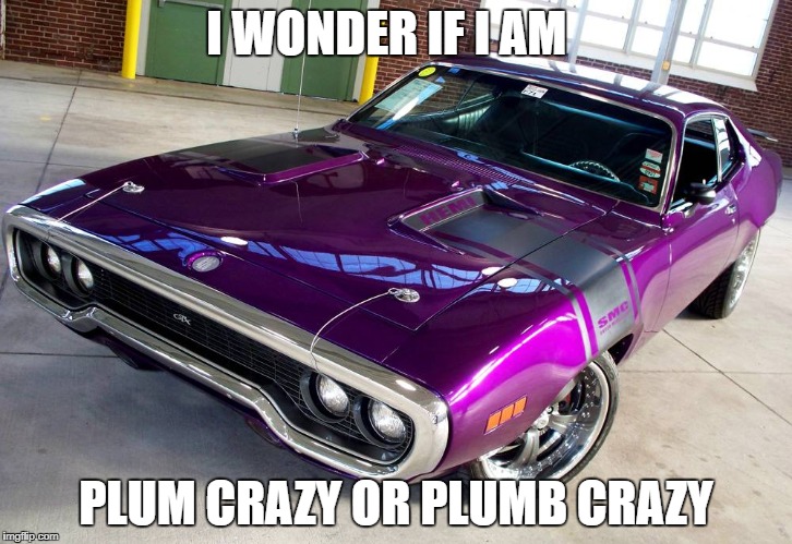 Plum or Plumb Crazy - Imgflip