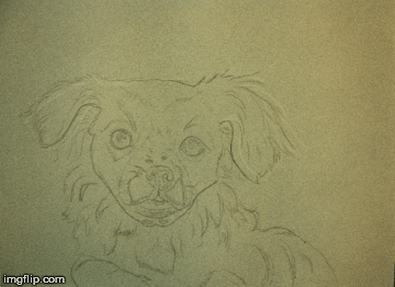 Tashi drawing - Imgflip