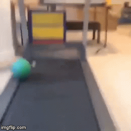 Finally! Someone created a teleportation device! - Imgflip