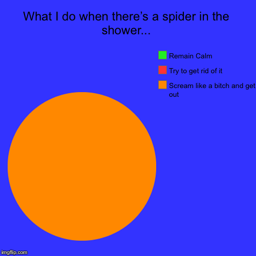 What I do when there’s a spider in the shower... - Imgflip