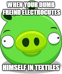 Angry Birds Pig Meme - Imgflip