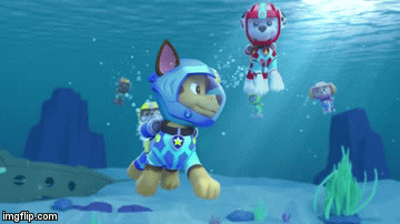 Animated GIF - Imgflip